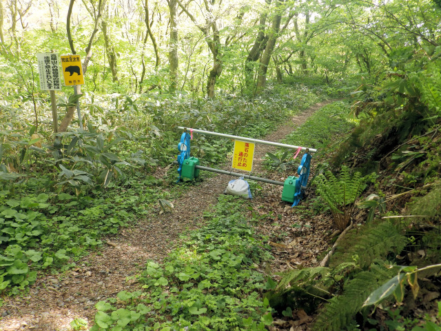 高館山273m～八森山234m: のんびり山歩き